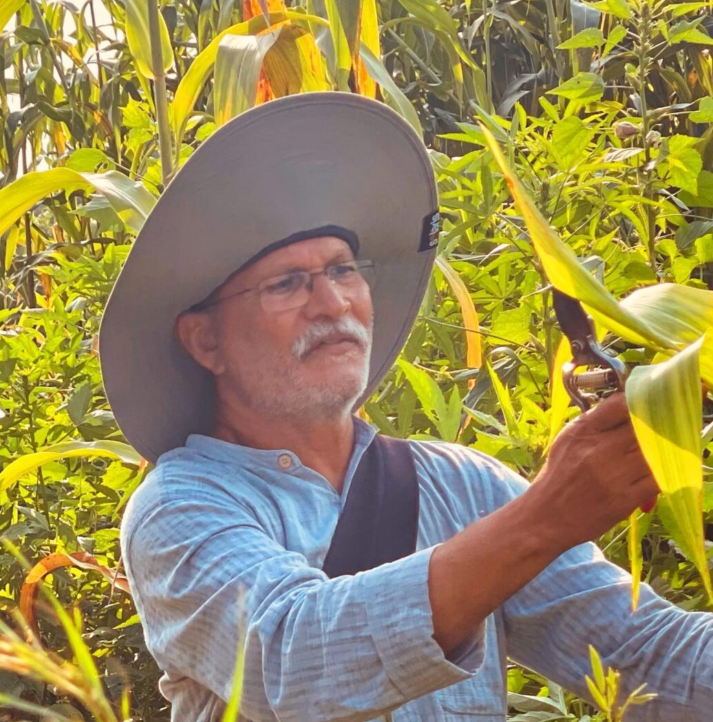 Presenters – IPC15